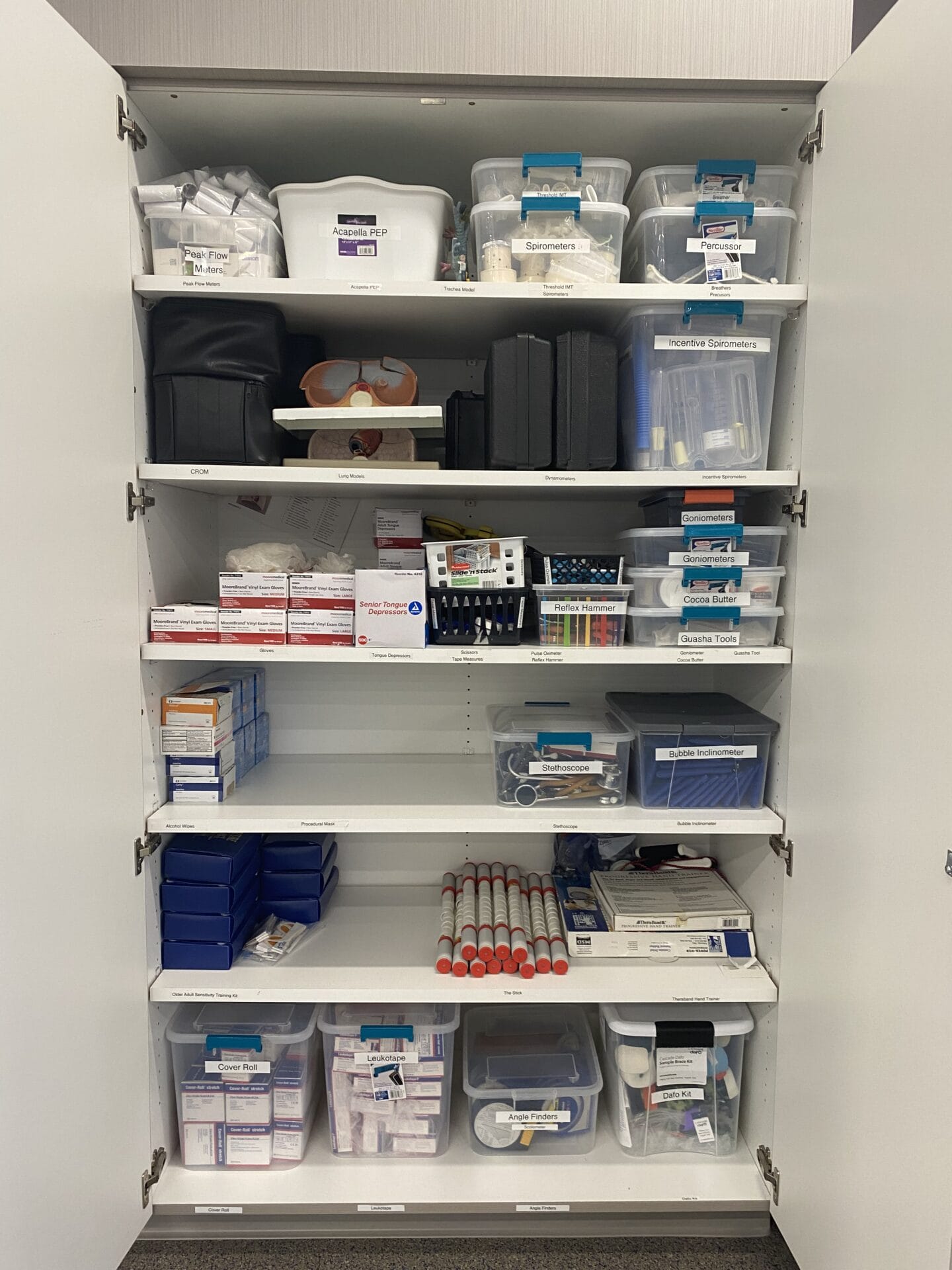 5 Strategies for Organizing Your Physical Therapy Equipment